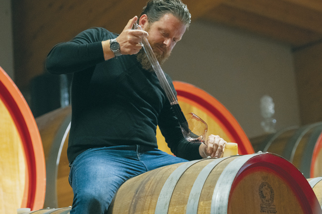 La Linea Feudi Carraresi - Conselve Vigneti e Cantine